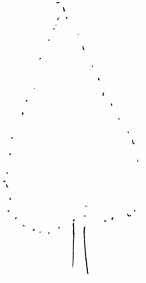 How to Draw Snow Covered Pine Trees - Pen and Ink Drawings by Rahul Jain