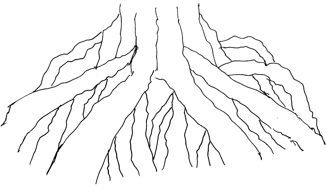 Step By Step: Drawing Old Roots With Pen And Ink - The Write Stuff ...