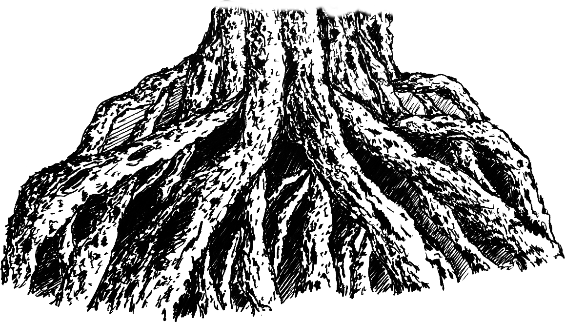 Step By Step: Drawing Old Roots With Pen And Ink - The Write Stuff ...