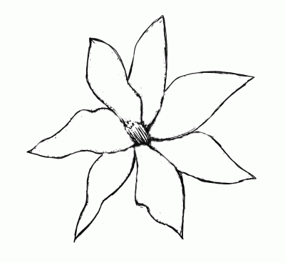 How to Draw Clematis - Pen and Ink Drawings by Rahul Jain