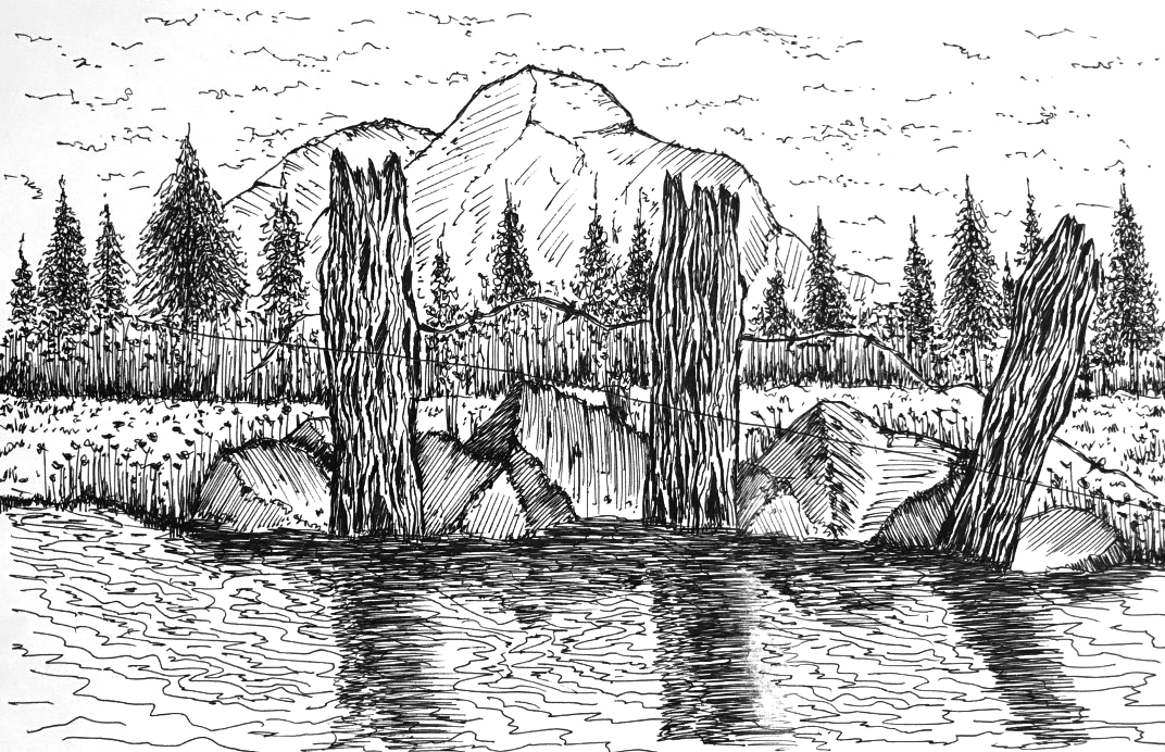 How to Draw Stones With Pen - Pen and Ink Drawings by Rahul Jain