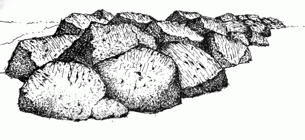 How to Draw a Shore Line - Pen and Ink Drawings by Rahul Jain