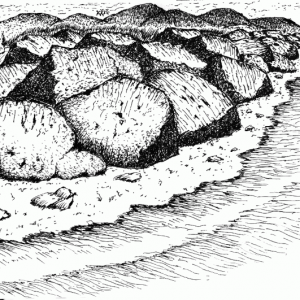 Step by Step Easy Pen and Ink Drawings - Pen and Ink Drawings by Rahul Jain